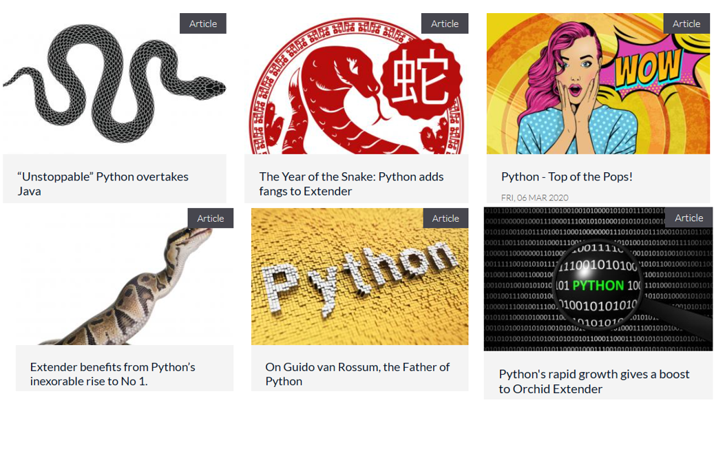 Why Fortune favours Python | Orchid Systems | News & Articles
